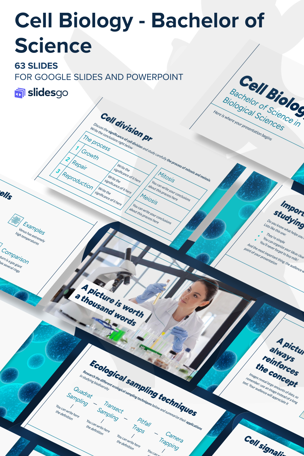 Cell Biology - Bachelor of Science in Biological Sciences