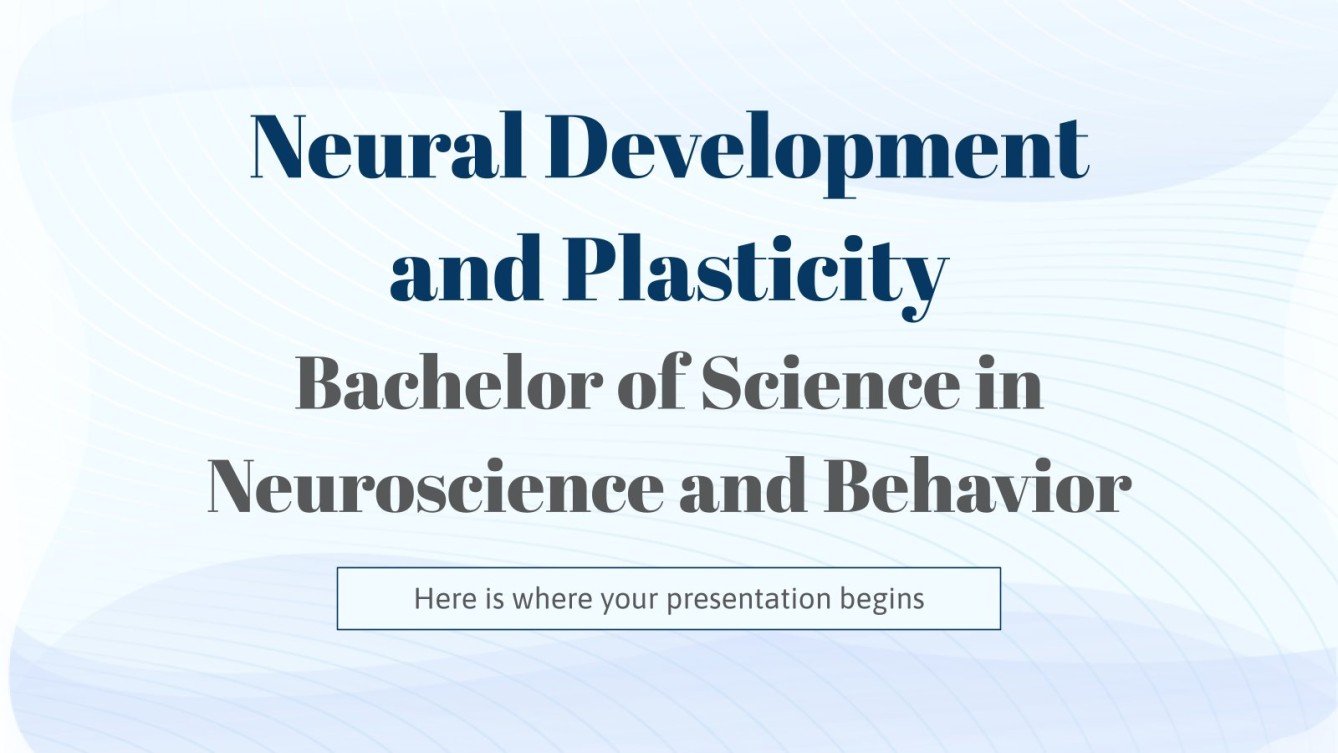 Neural Development and Plasticity | Google Slides & PPT