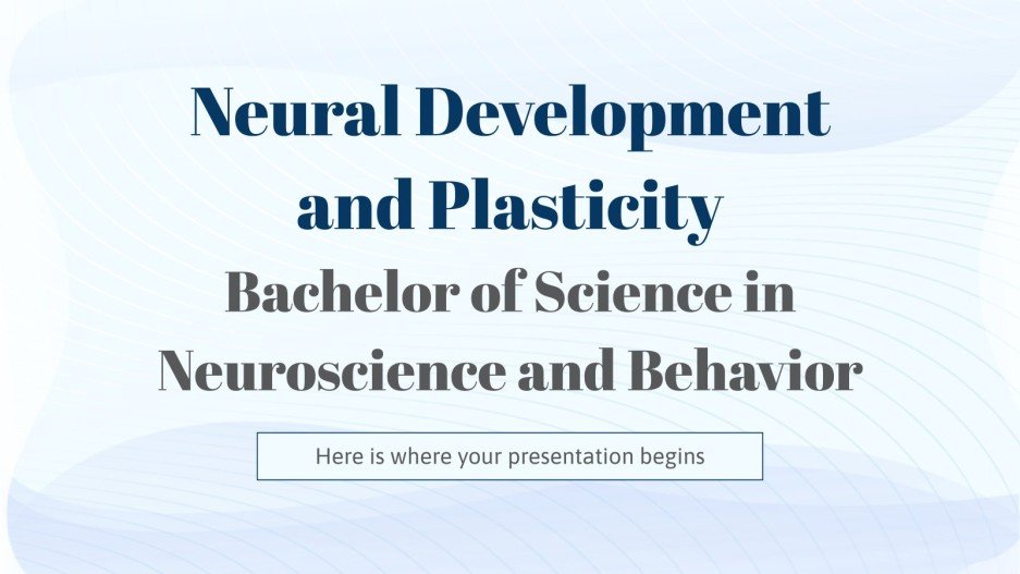 Neural Development and Plasticity | Google Slides & PPT