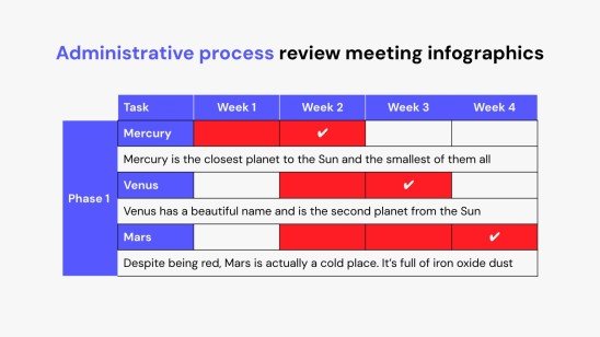 Administrative Process Review Meeting Infographics