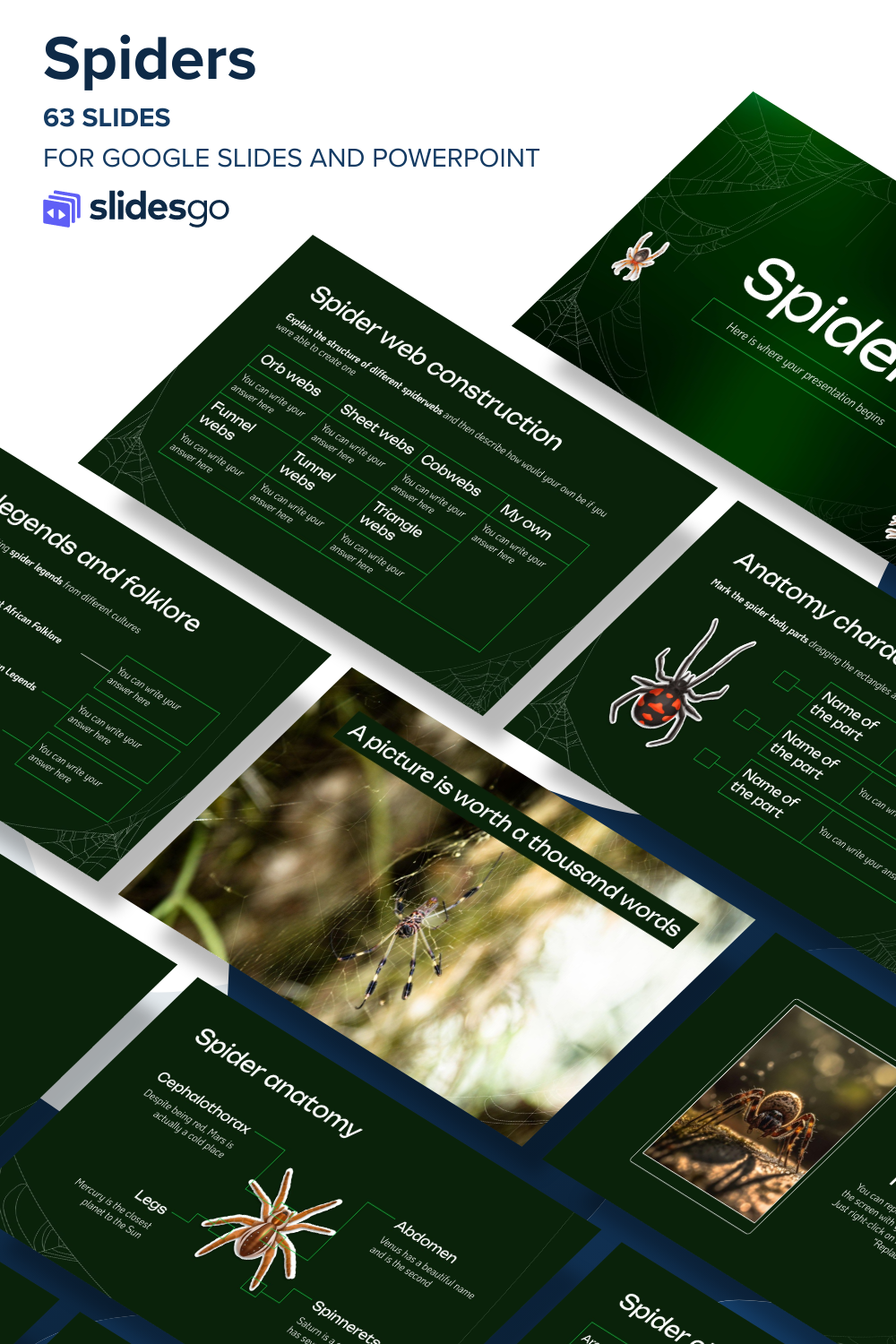 Spiders | Google Slides & PowerPoint Template