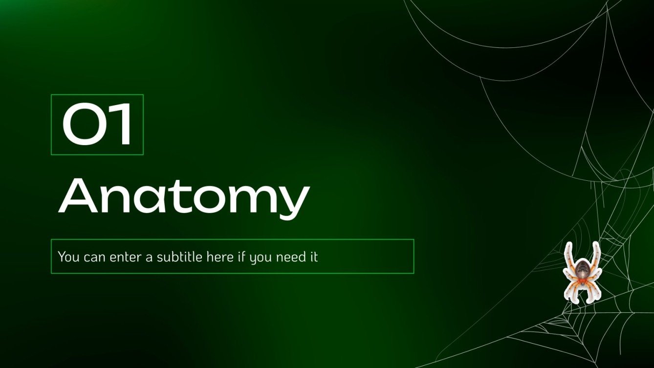 Spiders | Google Slides & PowerPoint Template