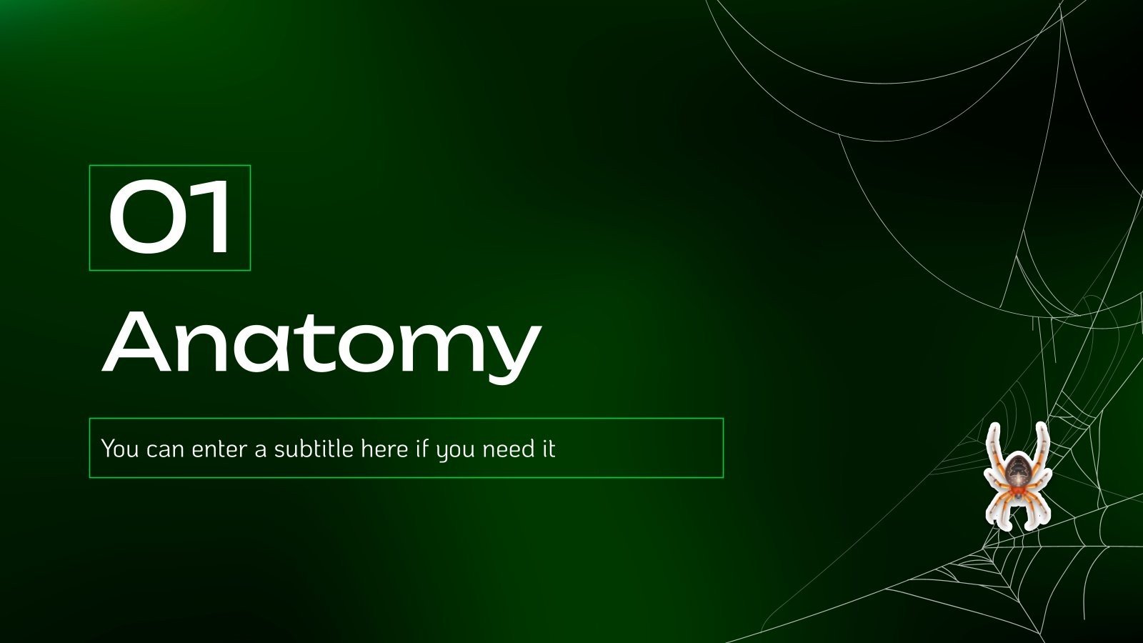 Spiders | Google Slides & PowerPoint Template