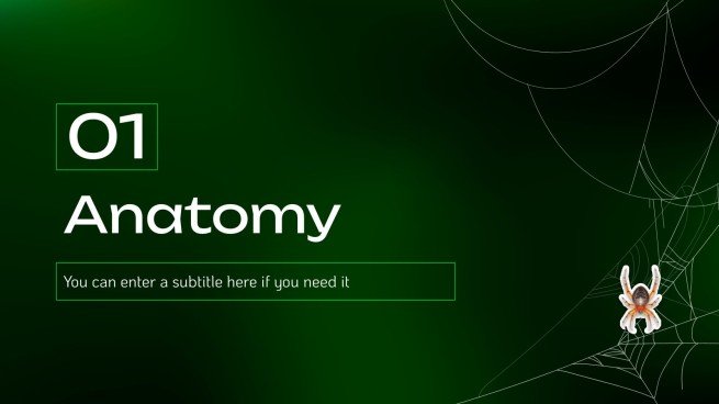 Spiders | Google Slides & PowerPoint Template