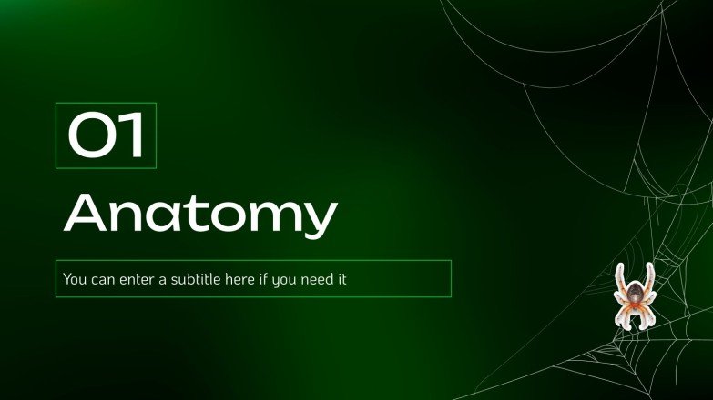 Spiders | Google Slides & PowerPoint Template