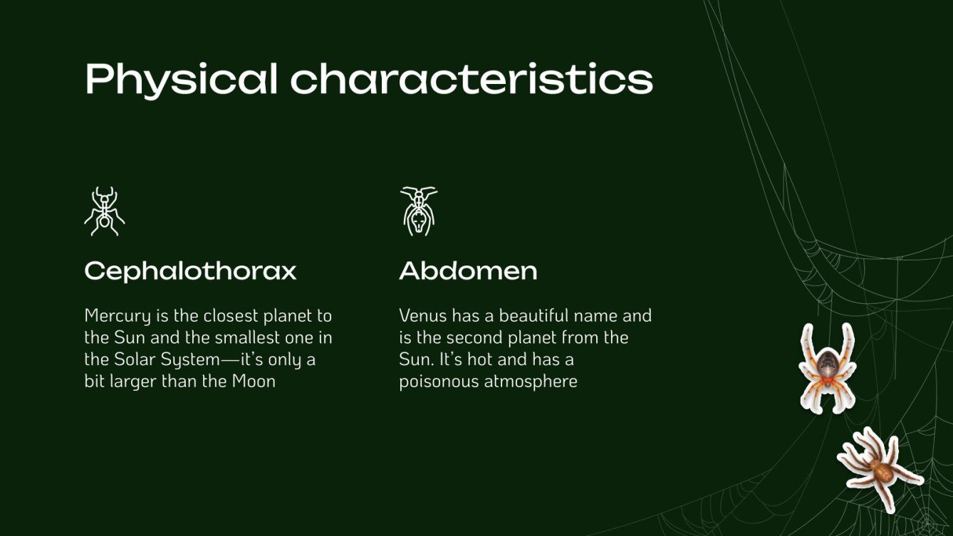 Spiders | Google Slides & PowerPoint Template