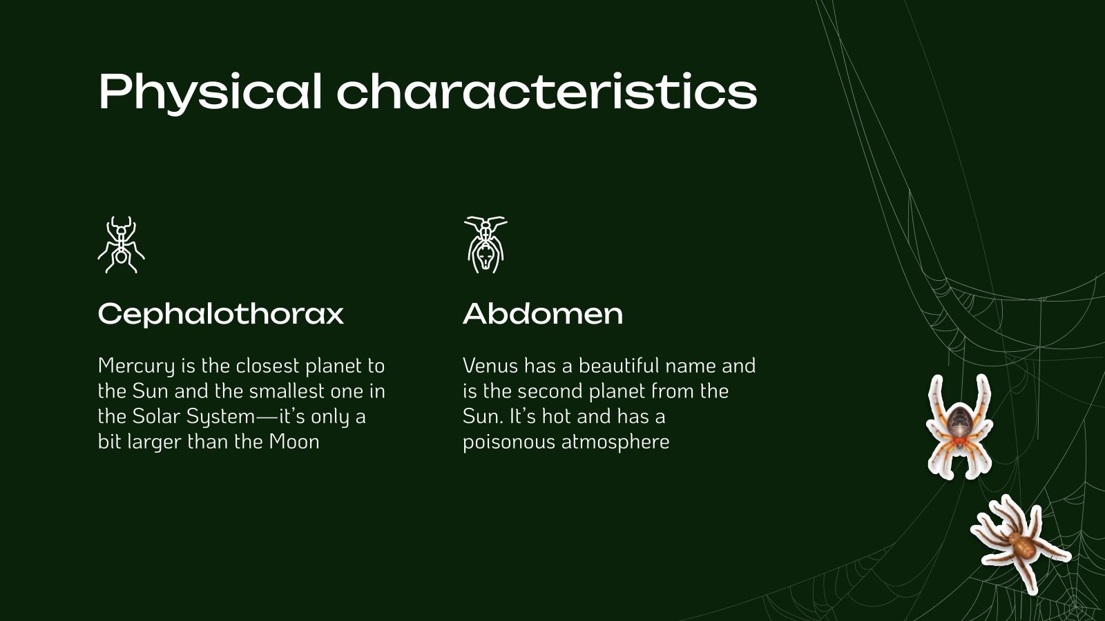 Spiders | Google Slides & PowerPoint Template