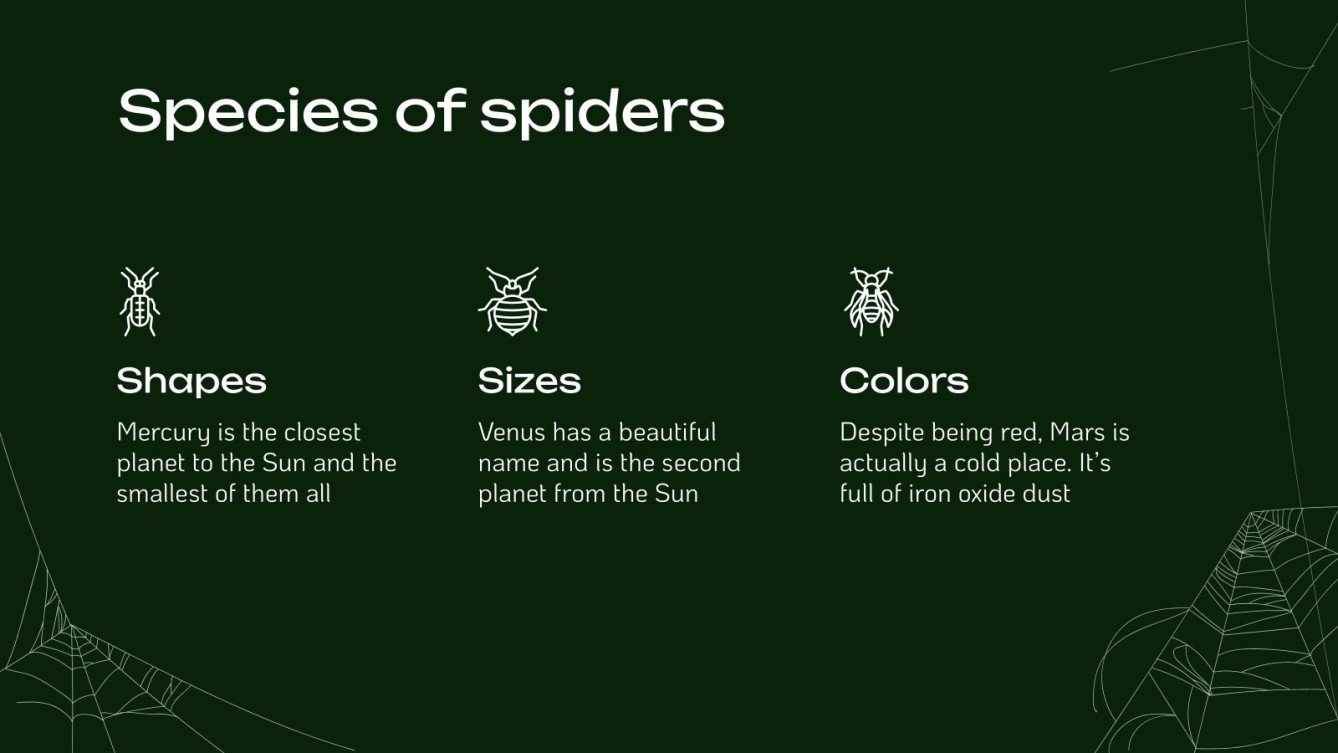 Spiders | Google Slides & PowerPoint Template
