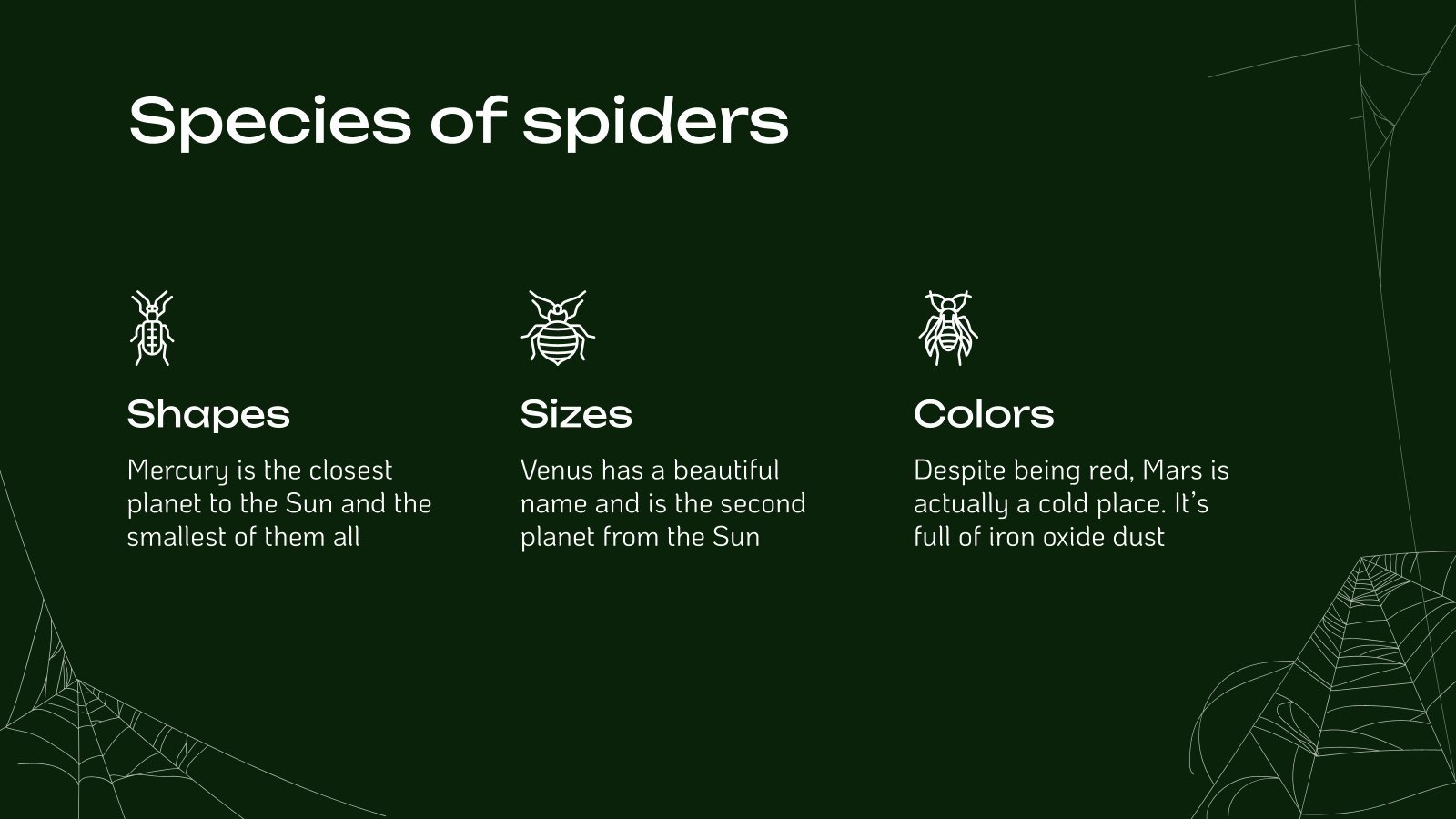 Spiders | Google Slides & PowerPoint Template