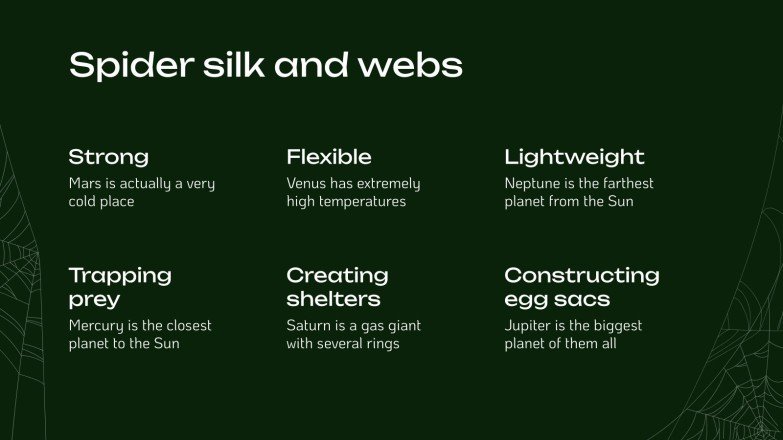 Spiders | Google Slides & PowerPoint Template