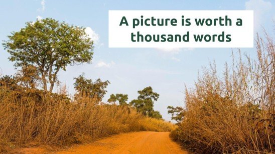 Life Sciences - Science - 3rd Grade | Google Slides & PPT