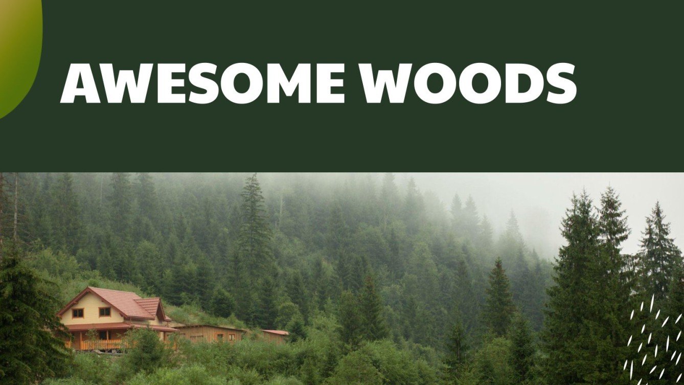 Preserving and Protecting Woods | Google Slides & PowerPoint