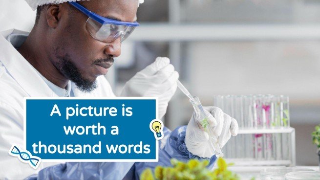 Scientific Inquiry and Observation - Science - 7th Grade