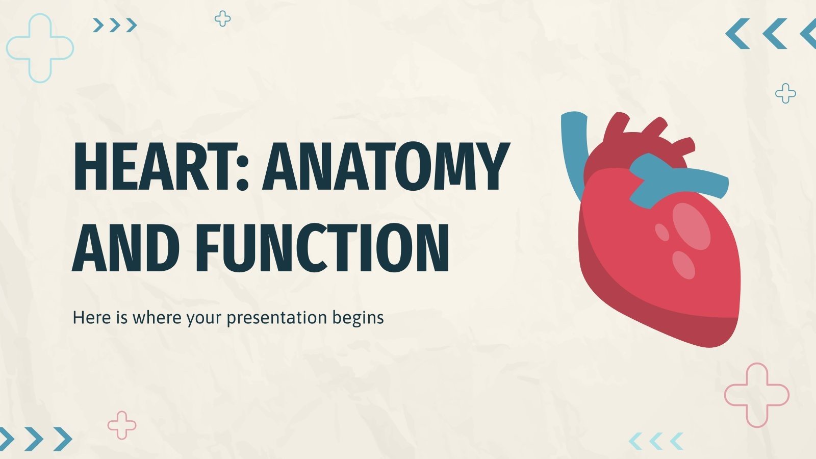 El corazón: Anatomía y función | Google Slides y PowerPoint