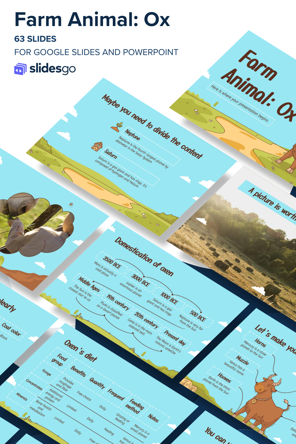 Farm Animal: Ox | Google Slides & PowerPoint template
