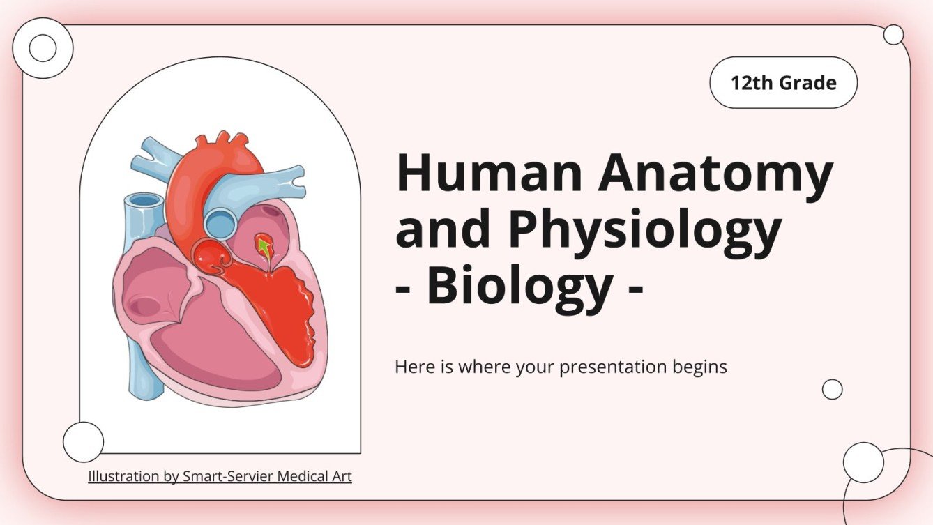 Human Anatomy and Physiology - Biology - 12th Grade