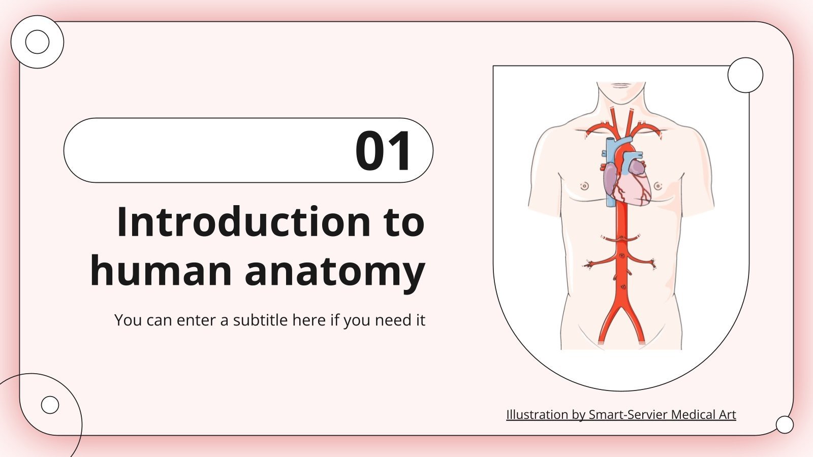 Human Anatomy and Physiology - Biology - 12th Grade