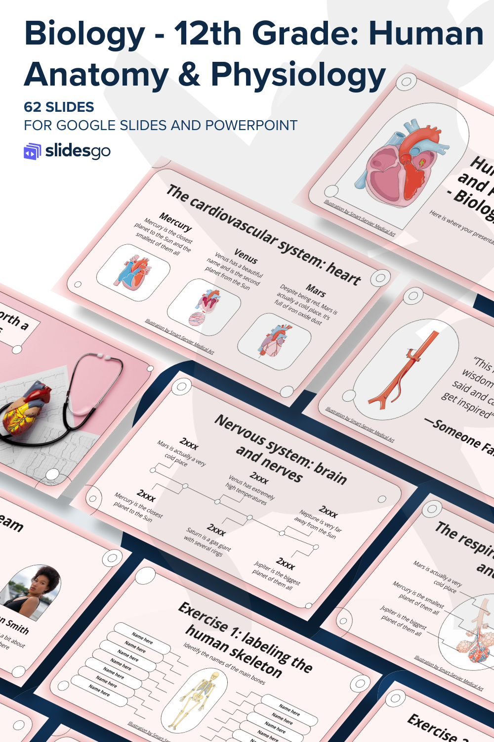 Human Anatomy and Physiology - Biology - 12th Grade