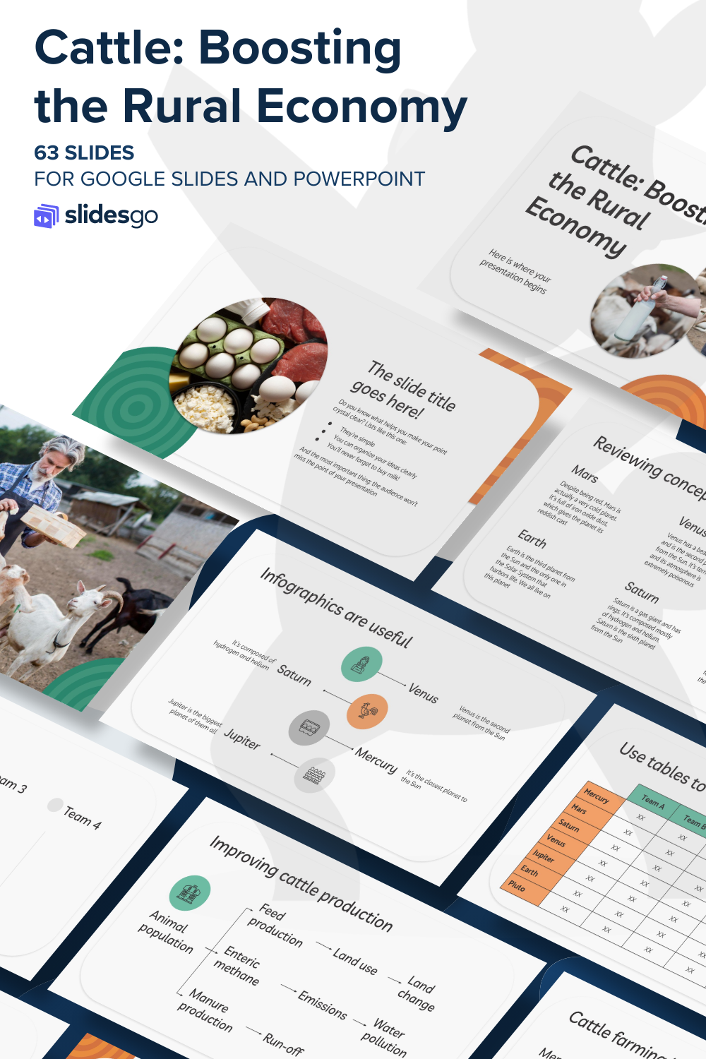 Cattle: Boosting the Rural Economy | Google Slides & PPT