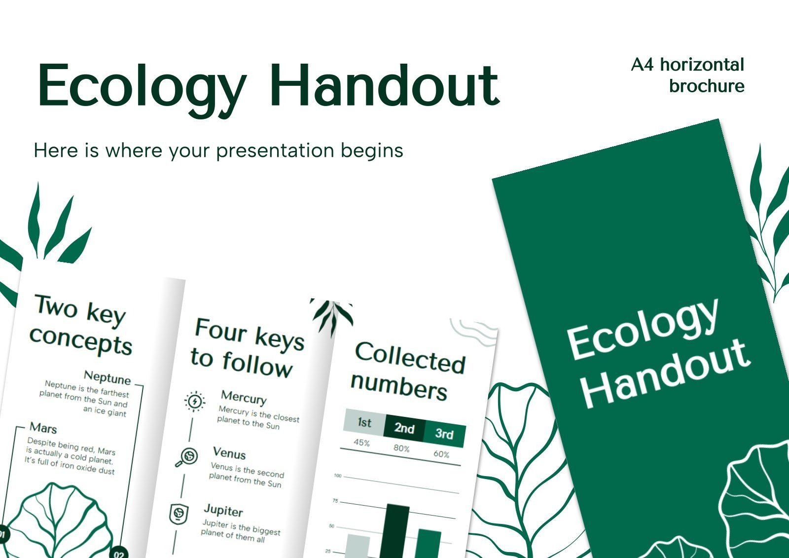 Ecology Handout | Google Slides & PowerPoint