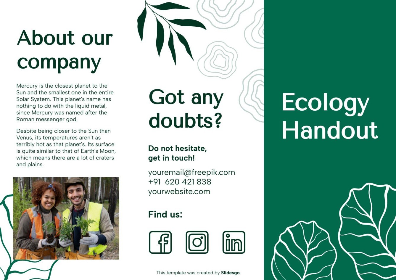 Ecology Handout | Google Slides & PowerPoint