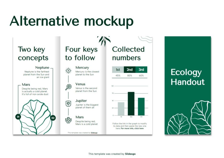 Ecology Handout | Google Slides & PowerPoint