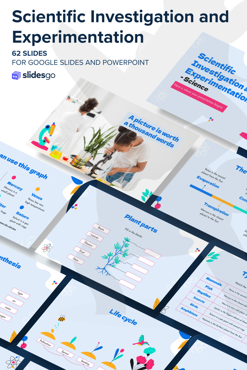 Scientific Investigation and Experimentation - Science