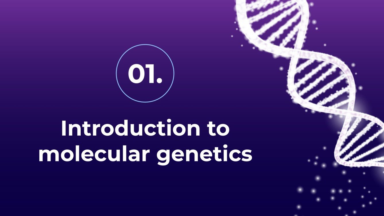 DNA and RNA as Pillars of Molecular Genetics