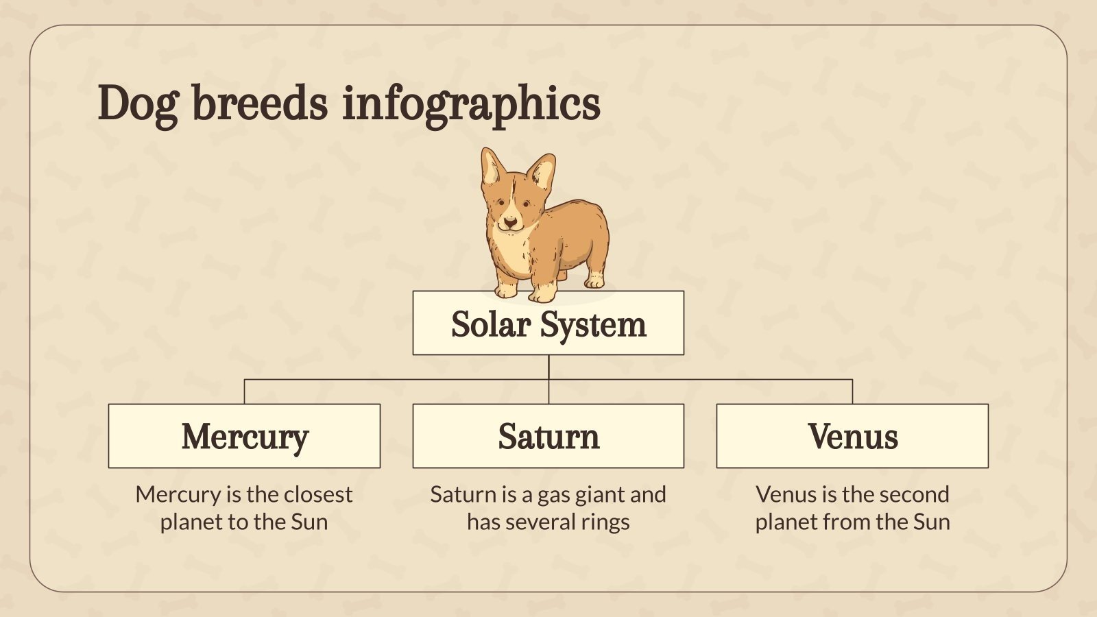 Dog Breeds and Their Personalities Infographics