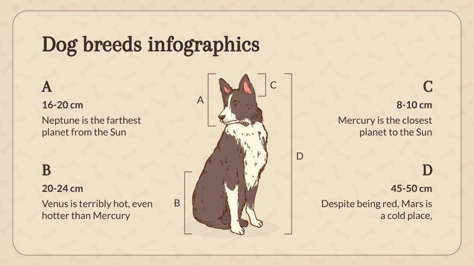 Dog Breeds and Their Personalities Infographics