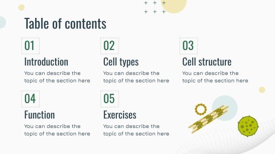 Study of Cell Structure and Function - Science - 9th Grade