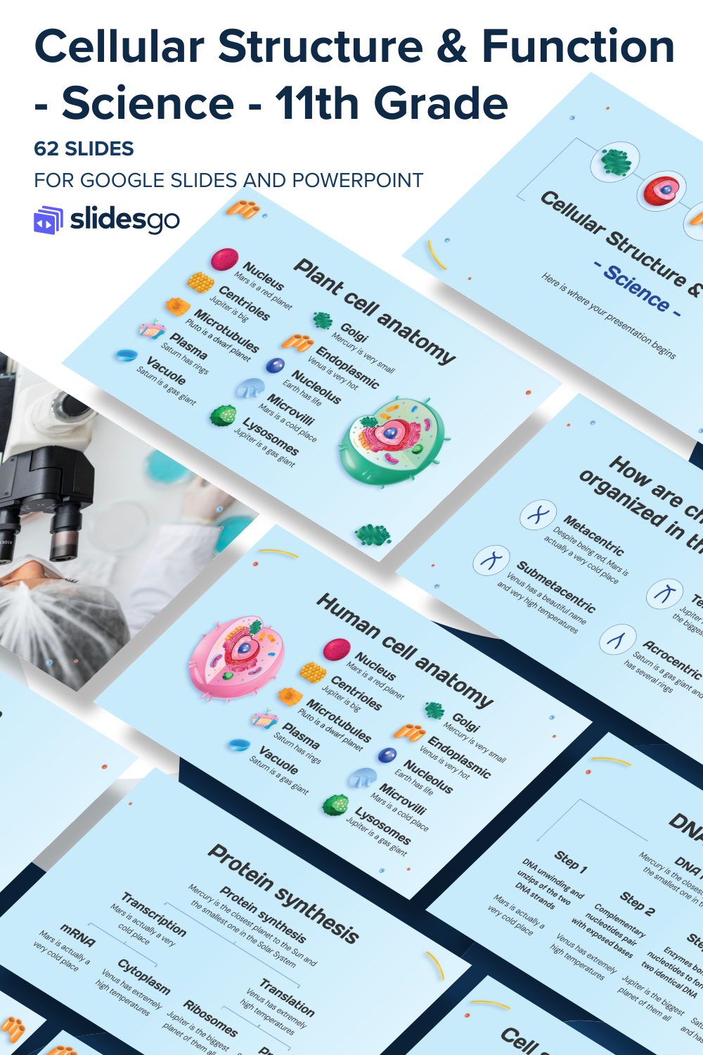 Cellular Structure and Function - Science - 11th Grade
