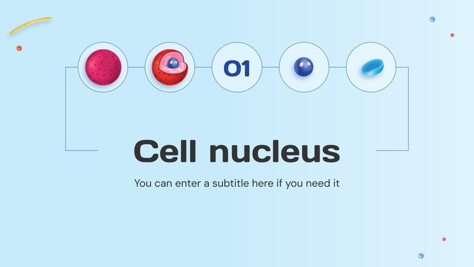 Cellular Structure and Function - Science - 11th Grade