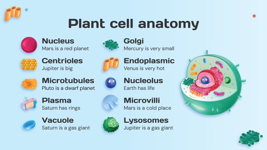 Cellular Structure and Function - Science - 11th Grade