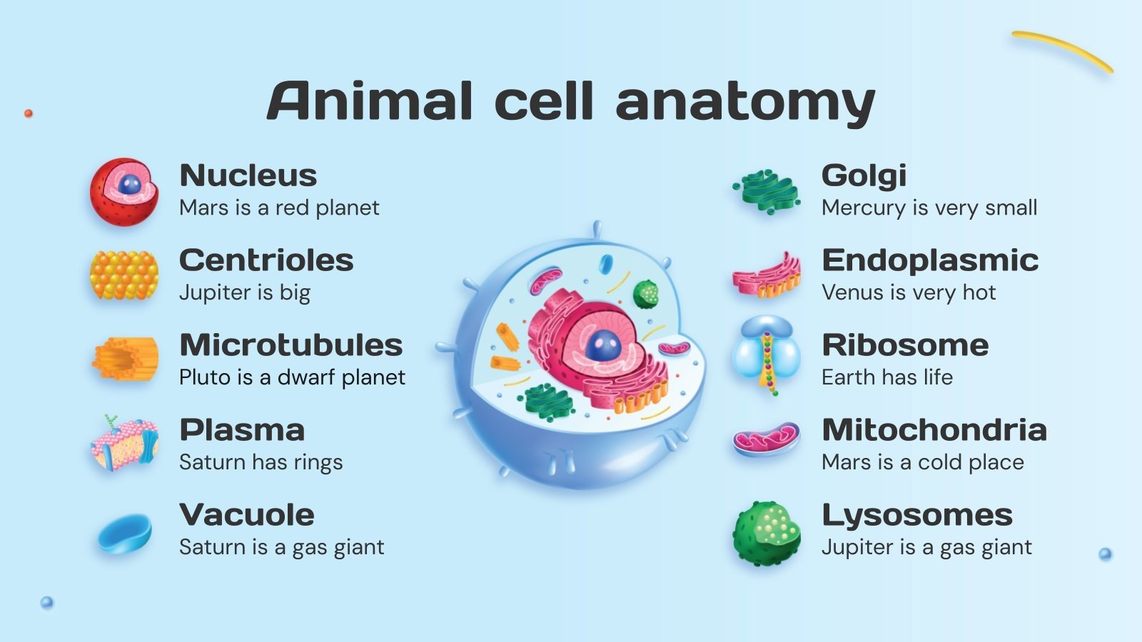 Cellular Structure and Function - Science - 11th Grade