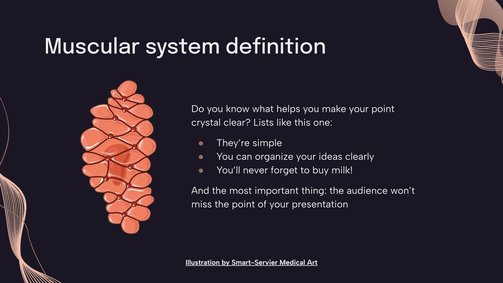 The Anatomy and Physiology of the Muscular System
