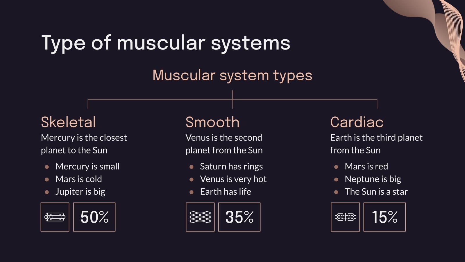 The Anatomy and Physiology of the Muscular System