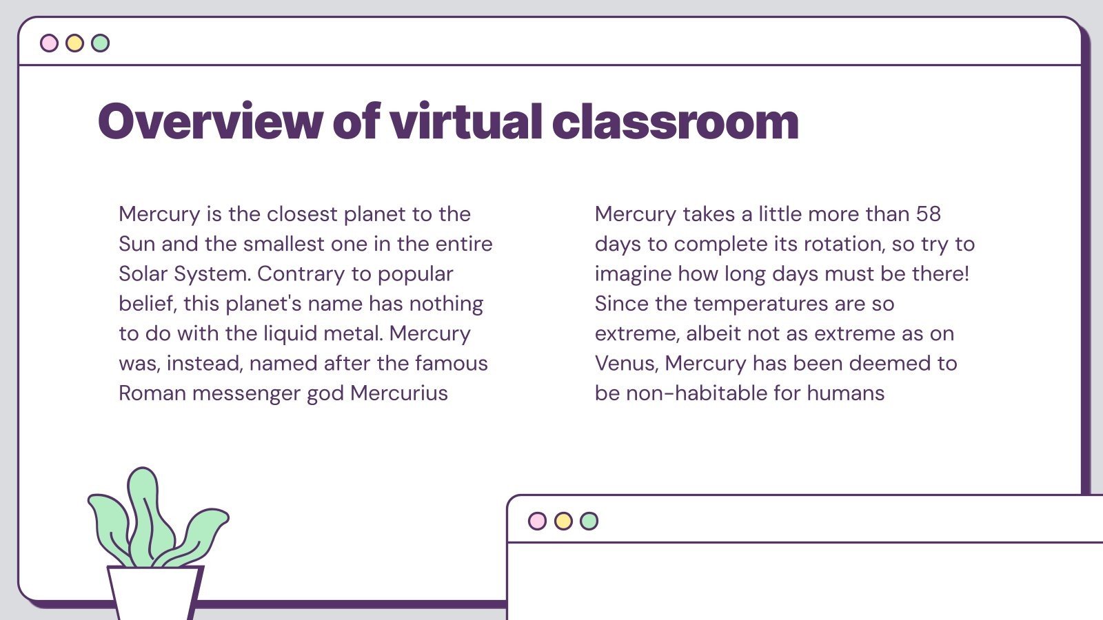 Online Learning: Virtual Classroom Strategies