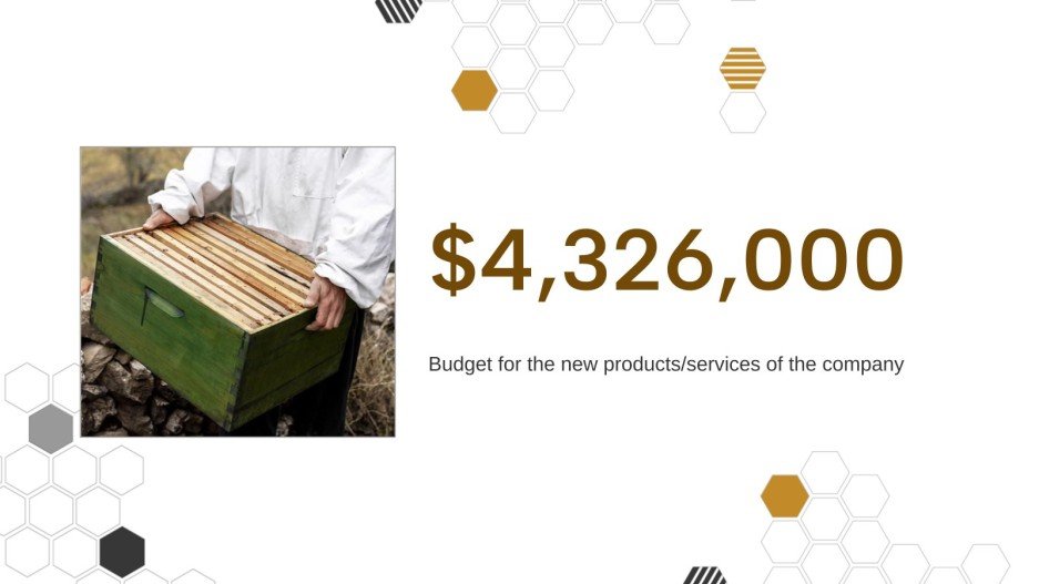 Beekeeping Business Plan | Google Slides & PowerPoint