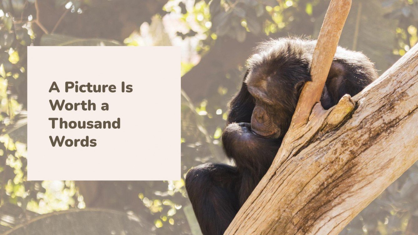 Monkey Mood Newsletter | Google Slides and PowerPoint