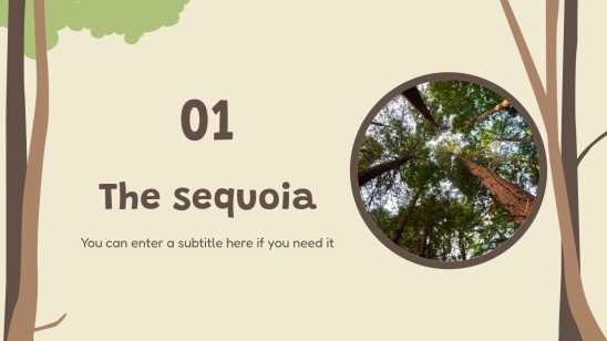All About Sequoia Trees | Google Slides and PowerPoint