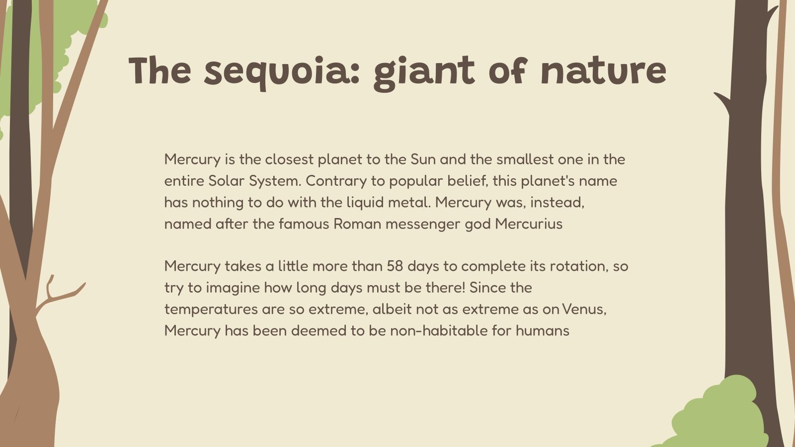 Todo sobre las secuoyas | Google Slides y PowerPoint