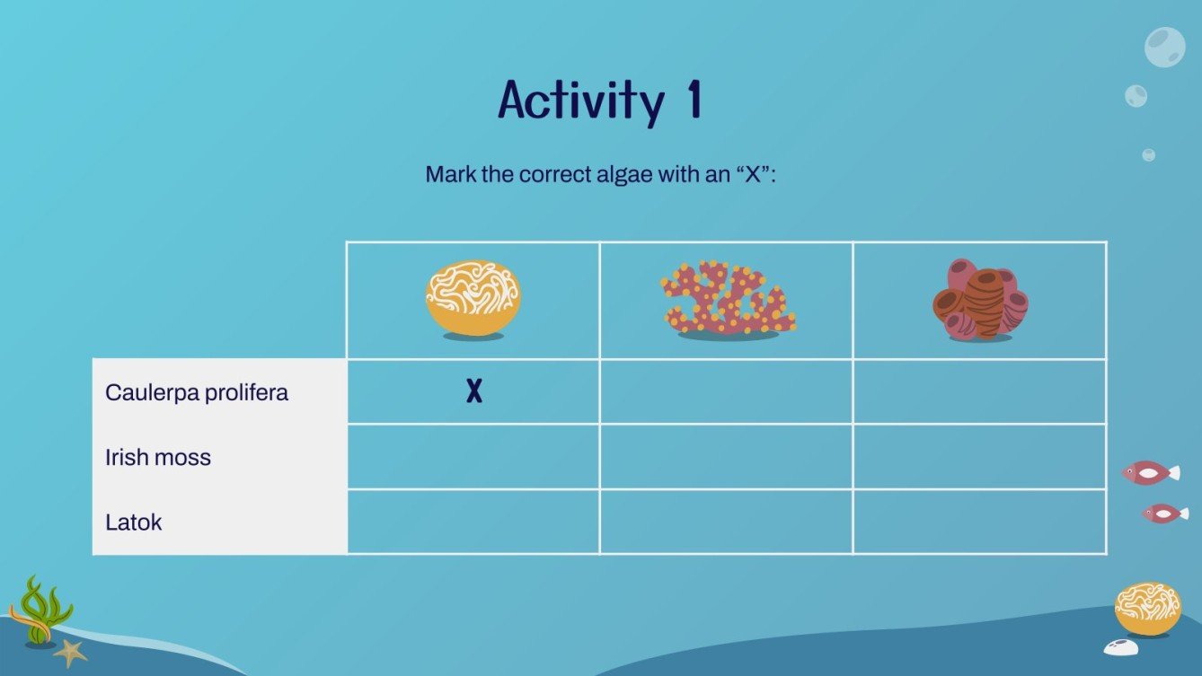 Biology Activities for Middle School: Algae | Google Slides