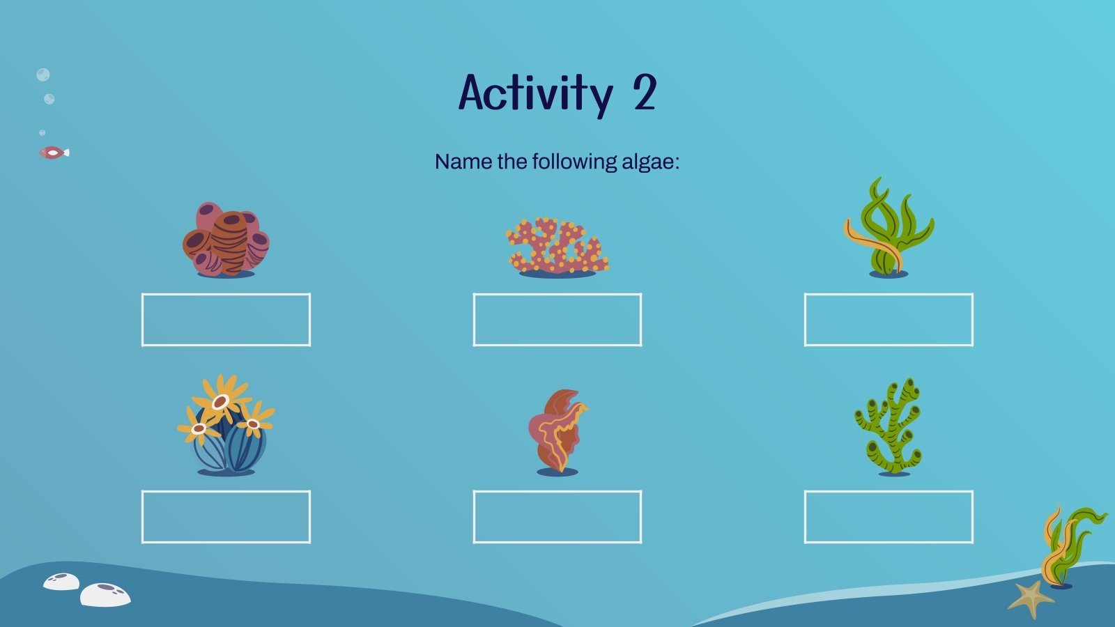 Biology Activities for Middle School: Algae | Google Slides