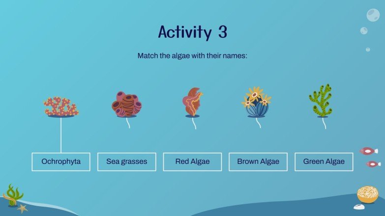 Biology Activities for Middle School: Algae | Google Slides