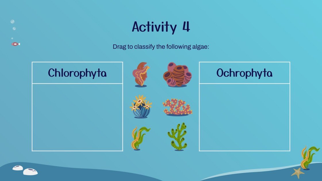 Biology Activities for Middle School: Algae | Google Slides