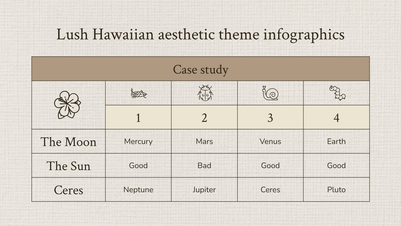 Lush Hawaiian Aesthetic Theme Infographics | Google Slides