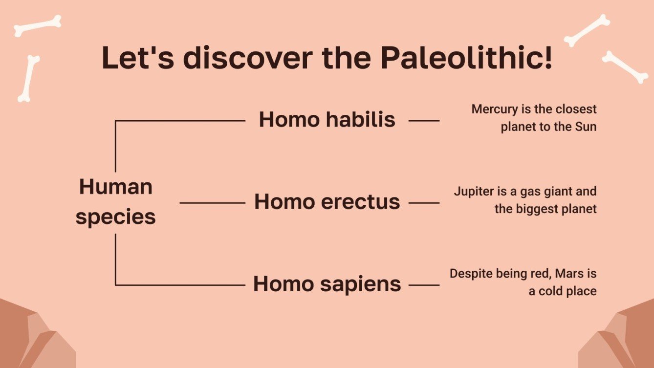 Let's Discover the Paleolithic! Infographics | Google Slides
