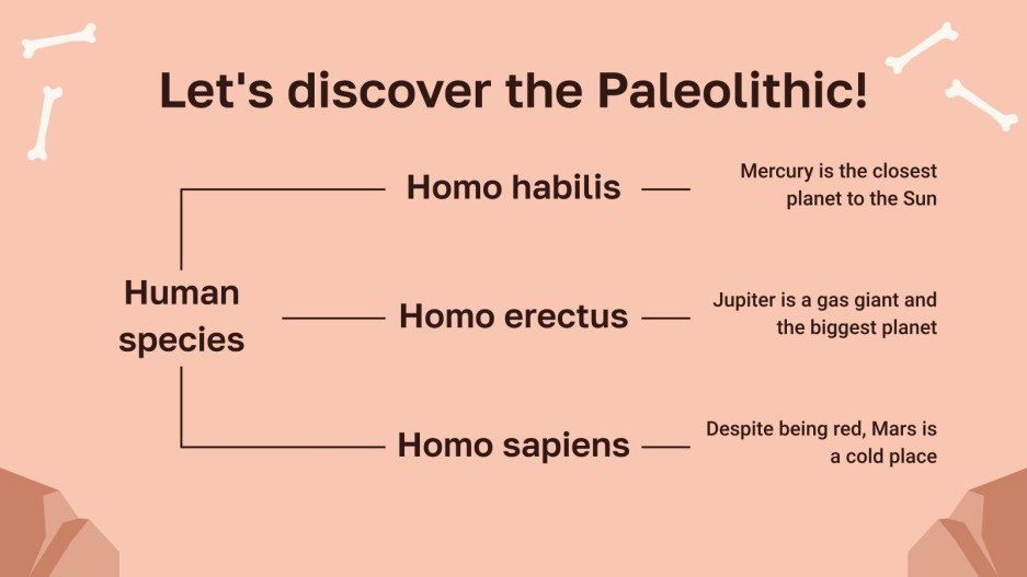 Let's Discover the Paleolithic! Infographics | Google Slides