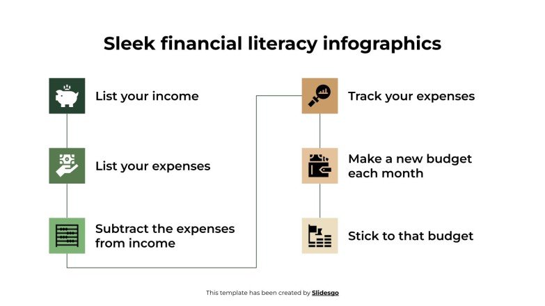 Sleek Financial Literacy Infographics | Google Slides & PPT